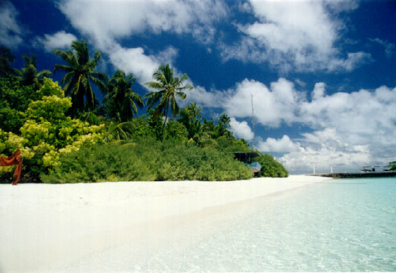 Foto / Photo / informazioni isole Maldive Asdu Sun island resort isola ...