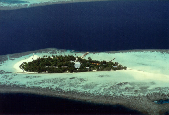 Foto / Photo / informazioni isole Maldive Asdu Sun island resort isola ...